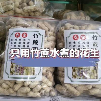 竹蔗花生无添加水煮原味花生不上火零食韶关乐昌特产绿色食品营养