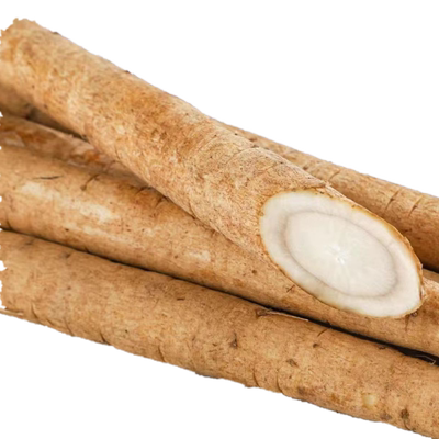 黄皮牛蒡根5斤现挖正品野生黄金牛蒡茶原料新鲜可榨汁黄皮鲜牛蒡