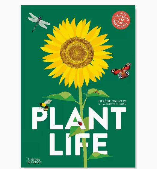 【预售】英文原版 Plant Life植物世界 Thames and Hudson Hélène Druvert课外读物植物生命实例科普绘本 ...