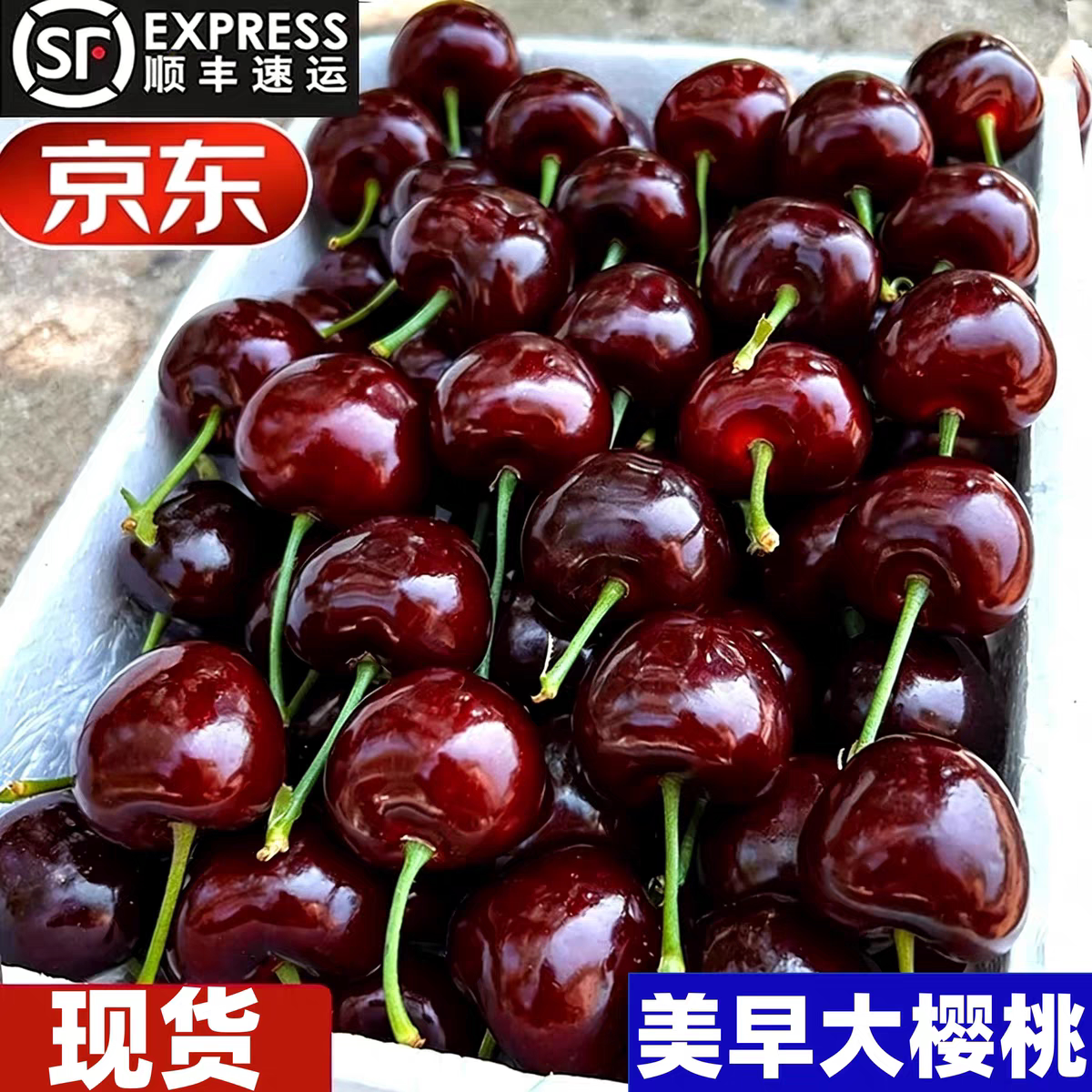 山东烟台美早国产大樱桃特大果现摘现发脆甜孕妇新鲜水果