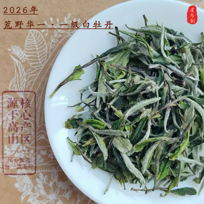 华一大白牡丹明前2026荒野花香甜