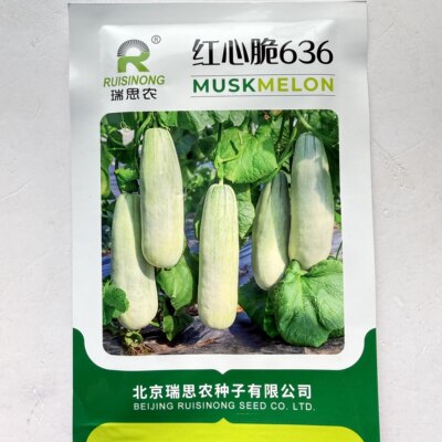 红心脆636中早熟薄皮甜瓜种子棒形灰白皮肉厚腔小酥脆绿肉橙红瓤