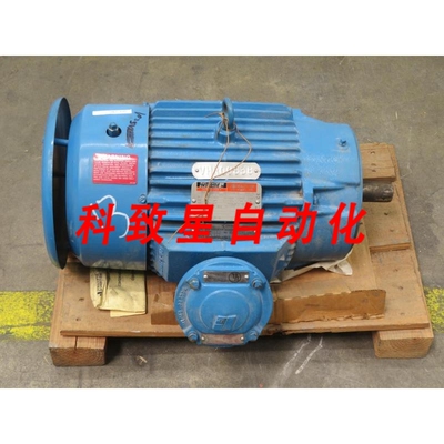 工业配件P21G1158-1 DUTY MASTER AC MOTOR T207552