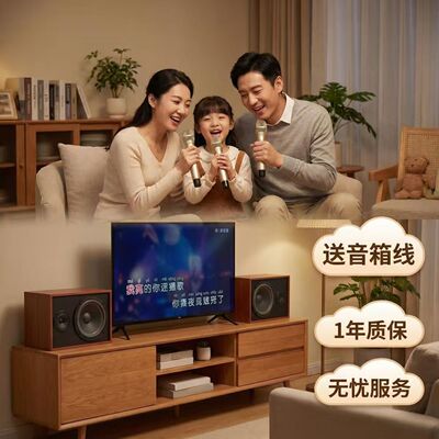 豪杰天韵家庭KTV音响套装专业卡包会议室家庭影院8寸10寸12寸音箱