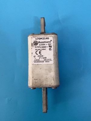 拆机巴斯曼Bussmann熔断器 型号：170M3146