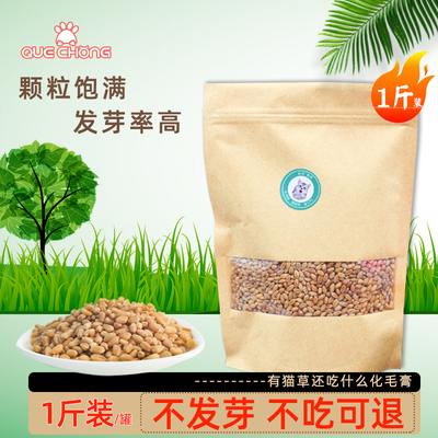 猫草种子猫草籽猫零食猫草片毛球猫薄荷水培盆栽营养土猫咪用品