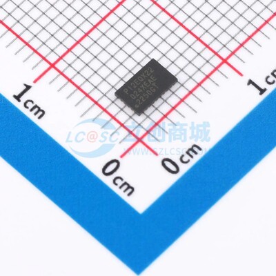 PI2EQX22024XEAEX DIODES(美台) - 现货