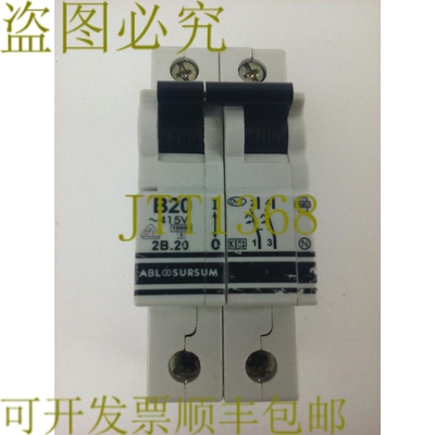 原装供应ABL-SURSUM，B20，2B.20，断路器，415V，2P， SURPLUS，