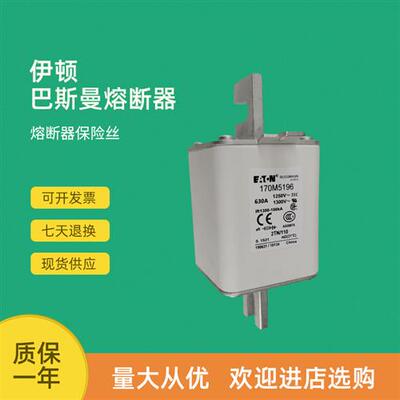全新快速熔断器保险170M5176 170M5177 170M5188 170M5189