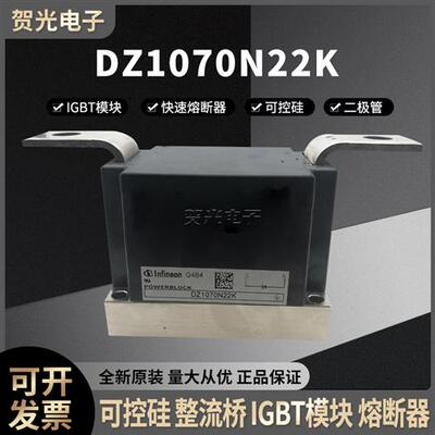 DZ1070N18K DZ1070N22K DZ1070N26K全新二极管晶闸管模块