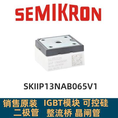 全新原装 SKIIP11NAB12T4V1 SKIIP12NAB126V1 SKIIP13NAB065V1