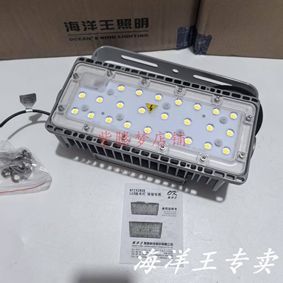 海洋王NTC9280B-100WLED投光灯