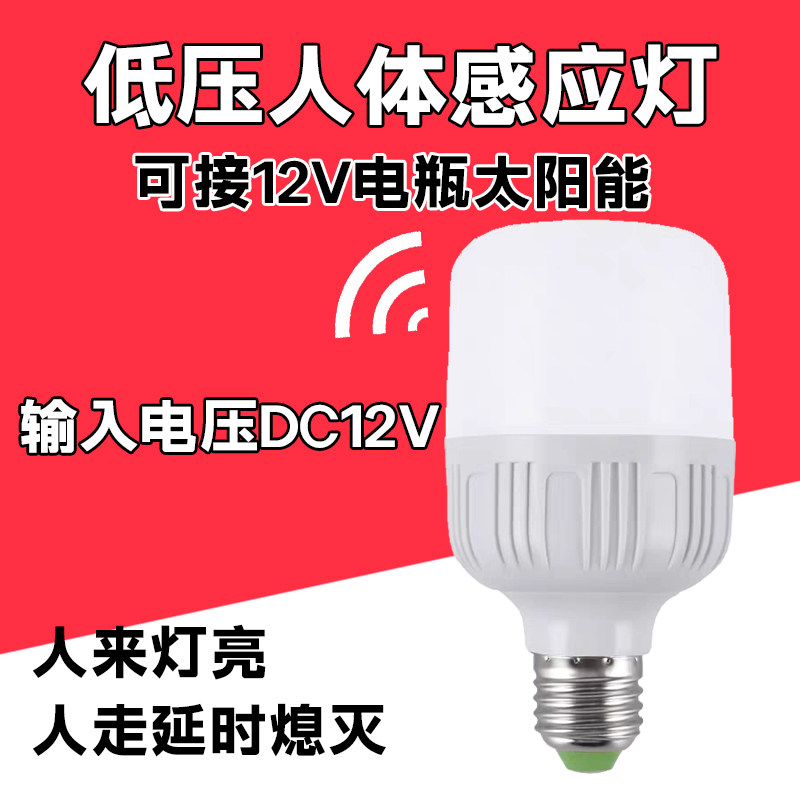 低压DC12V直流交流人体雷达感应灯泡楼梯间过道走廊太阳能板供电