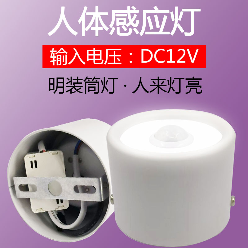 低压DC12V直流交流人体红外线明装筒灯楼梯过道走廊太阳能板供电