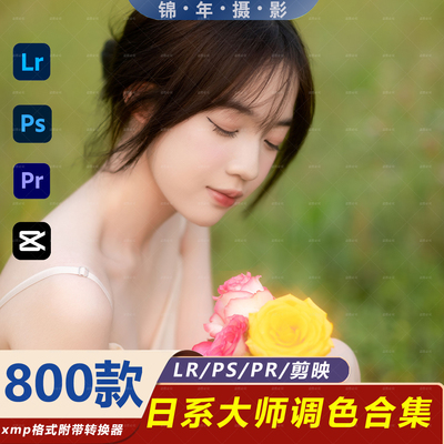日系大师调色合集LR预设PS滤镜PR调色lightroom人像胶片滤镜合集