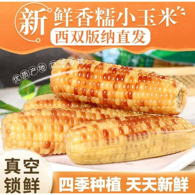 西双版纳鲜糯小玉米无添加直发