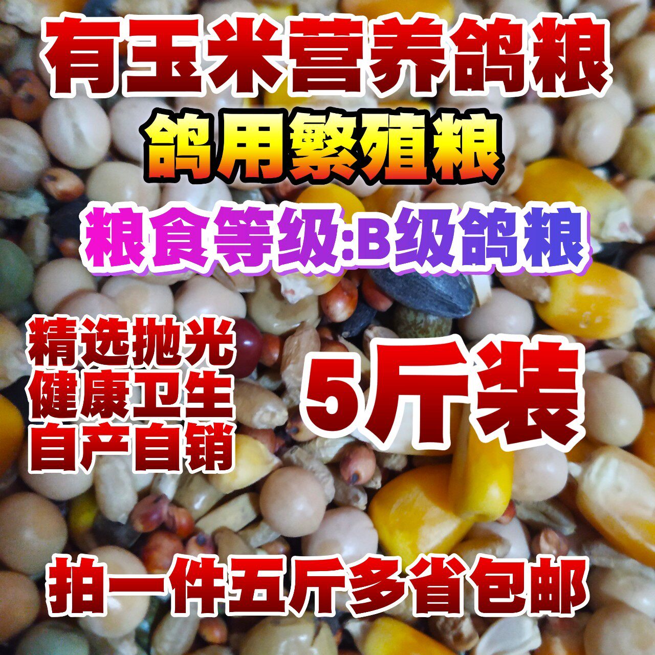 鸽粮B级有玉米鸽粮鸽子饲料斑鸠粮信鸽鸽粮鸟食饲料5斤多省包邮