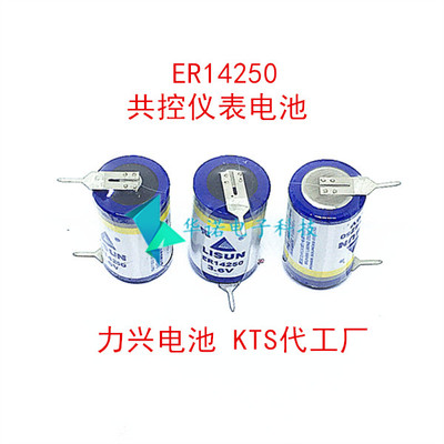 LISUN/力兴正品 1/2AA ER14250 3.6V 仪表设备仪器锂电池带焊脚