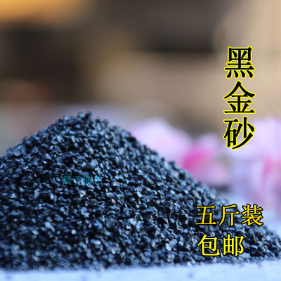 黑晶砂黑金沙铺面石微景观生石花