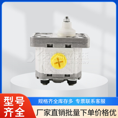 意大利BONDIOLI齿轮泵