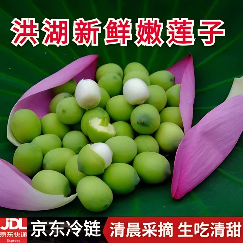 3斤洪湖新鲜莲蓬现摘京东冷链新鲜太空水果莲蓬莲蓬嫩莲蓬莲子