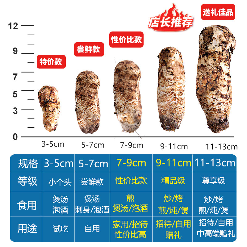 现货云南野生松茸新鲜特级出口级不开伞菌菇2026云南香格里拉特产