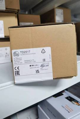 假一罚十 IFM TD2501 TD2517  TD2531 温度传感器