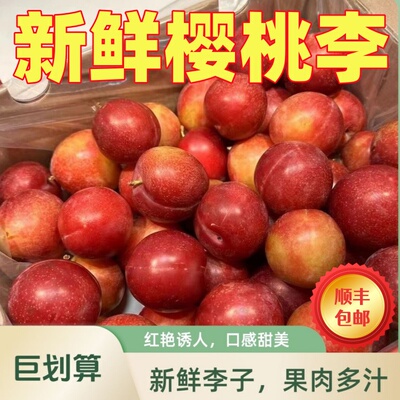 【京东】樱桃李5斤新鲜智利进口李子水果红奈鸡心李当季整箱包邮3