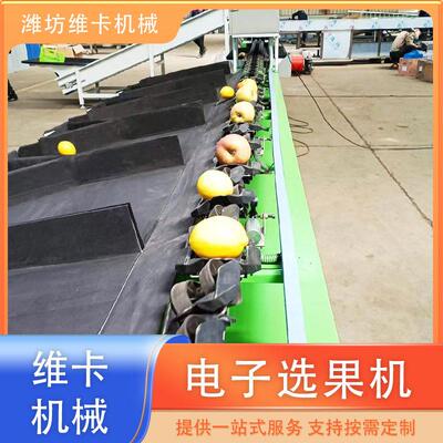 全自动智能水果分选机苹果柑橘分选线出口品质管控厂家直销