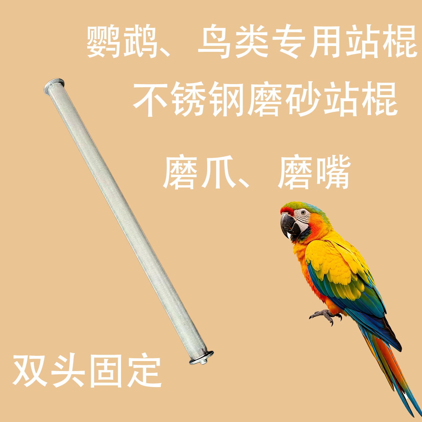 304不锈钢鸟类鹦鹉通用鸟站杆磨砂站棍磨爪磨嘴双头固定定制尺寸