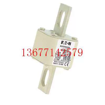 议价议价170M6312 170M6313 170M6314 170M6315 bussmann快速熔断