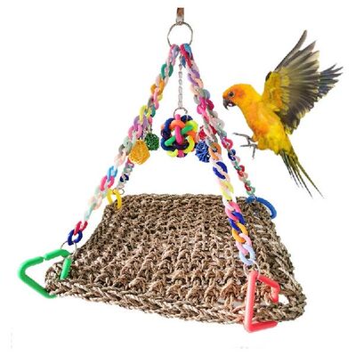 速发Hagig agig Wa Bird ys Sgra imbig et Perch