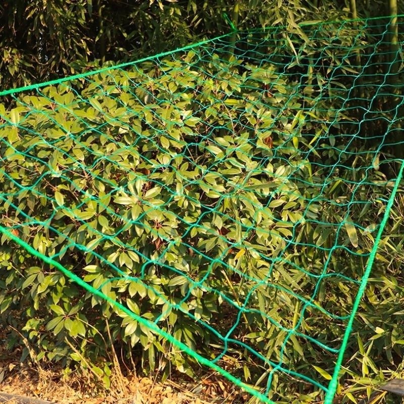 速发月季花墙架网格植物爬藤架爬藤网种植网攀爬架网大孔塑料网牵