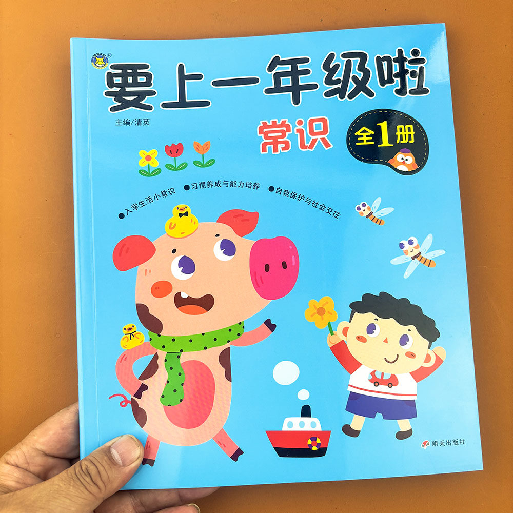 轻松入小学100分幼升小面试常识题幼小衔接教材全套一日一练儿童认标志图片常见标志大全儿童交通规则安全知识和生活常识百科全书
