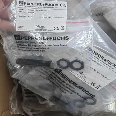 倍加福264599 NRB4-12GM40-E2-C(议价）