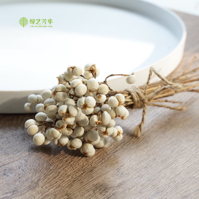 【小白果】乌桕果天然植物素材手工diy材料圣诞花环制作标本插花