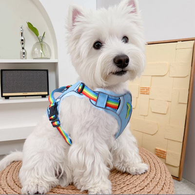 狗牵引绳专用胸背带狗狗用2025新款博美泰迪防挣脱小型犬专用狗绳