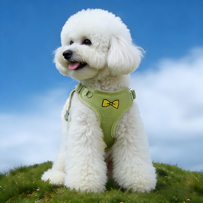 狗牵引绳专用胸背带狗狗用2025新款背心式比熊泰迪冬季博美防挣脱