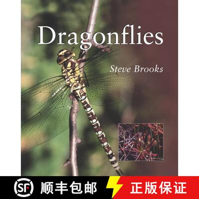 【3-4周达】Dragonflies [9781588340641]