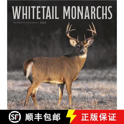 【3-4周达】Whitetail Monarchs Square Wall Sunday St [9781529852073]