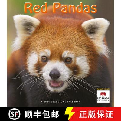 【3-4周达】Red Pandas Square Wall Sunday Start Cale [9781529847567]