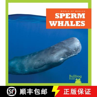 【3-4周达】Sperm Whales [9798885246019]