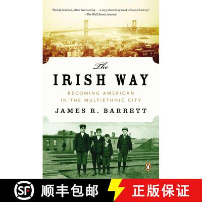 【3-4周达】The Irish Way: Becoming American in the Multiethnic City [9780143122807]