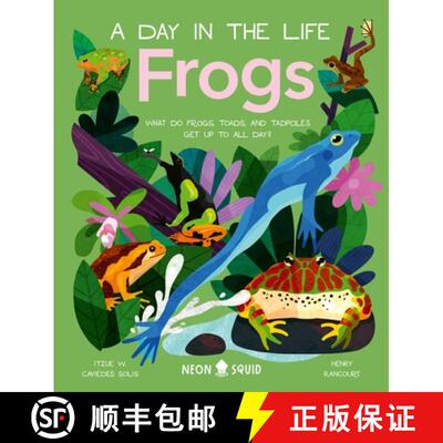 【3-4周达】精装 Frogs (a Day in the Life): What Do Frogs, Toads, and Tadpoles Get Up to All Day? [9781684493074]