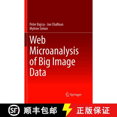 【3-4周达】Web Microanalysis of Big Image Data [9783319875330]