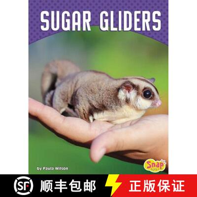 预订 精装 Sugar Gliders [9781543530575]