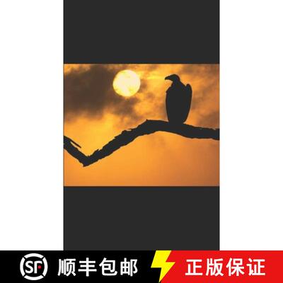 【3-4周达】Through the Eyes of a Vulture [9780991537471]