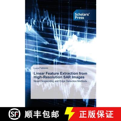预订 Linear Feature Extraction from High-Resolution SAR Images [9783639662825]
