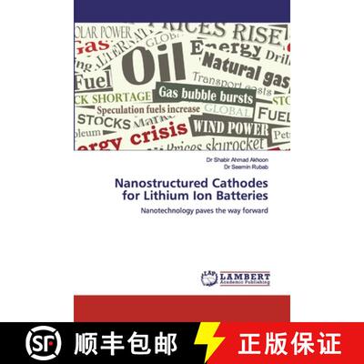 预订 Nanostructured Cathodes for Lithium Ion Batteries [9783659835605]