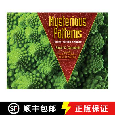 【3-4周达】Mysterious Patterns – Finding Fractals in Nature [9781662620416]